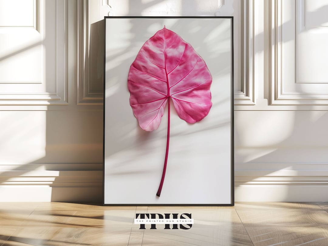 Alocasia Dragon Tooth Botanical Wall Art Decor, Pink Home Art Deco for ...