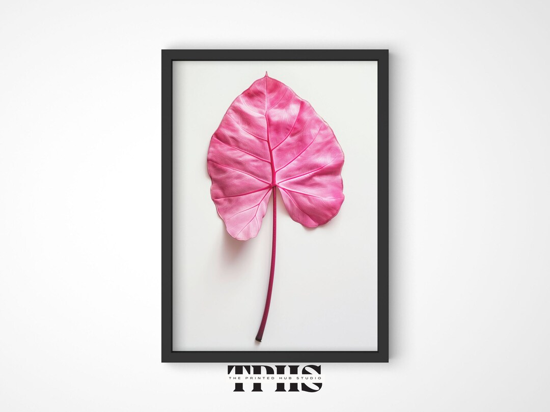 Alocasia Dragon Tooth Wall Art Botanical Wall Decor Pink Home Art Deco ...