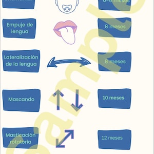 Speech Therapy/feeding Therapy Types of Chewing Handouts - Etsy