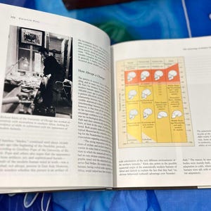 Educational Book: the Origin of Modern Humans by Roger Lewin, Published ...