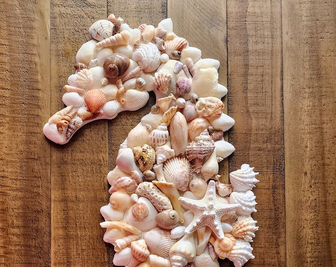 Seashell Seahorse Wall Art, 18" X 9" Coastal Wall Hanging, Seahorse ...