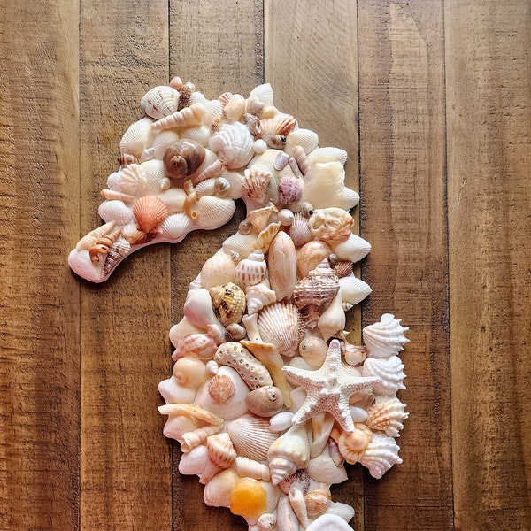Seashell Art - Etsy