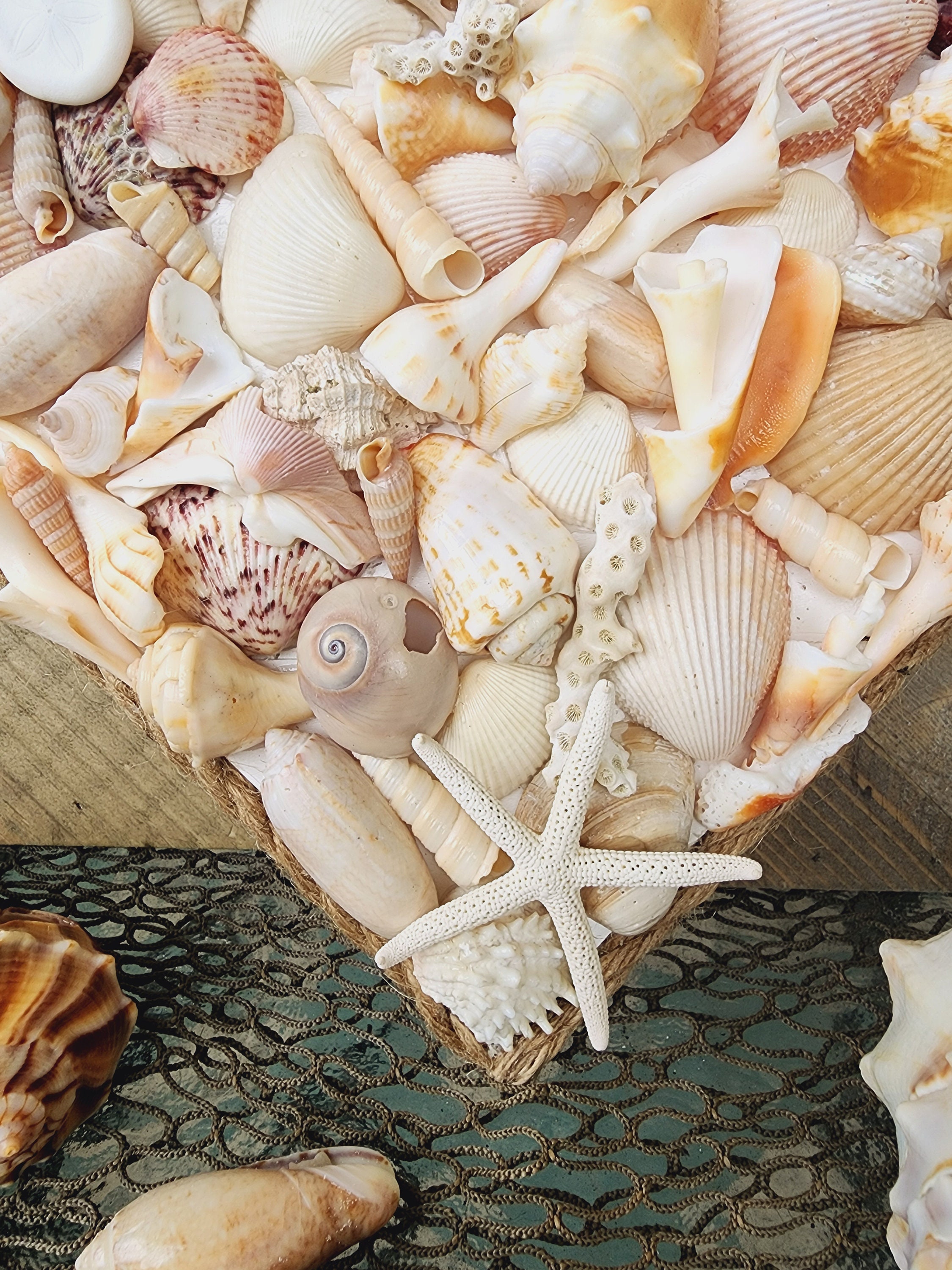 Seashell Heart, Coastal Heart, Coastal Wall Hanging, Seashell Wall ...