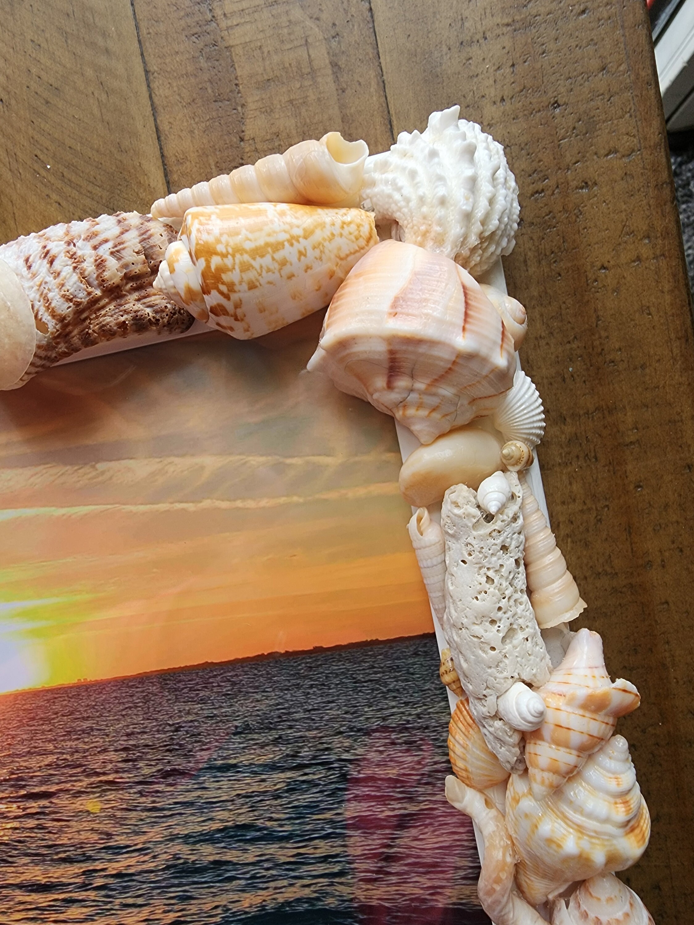 Seashell Photo Frame, 8"x10" Coastal Picture Frame, Beach House Decor ...