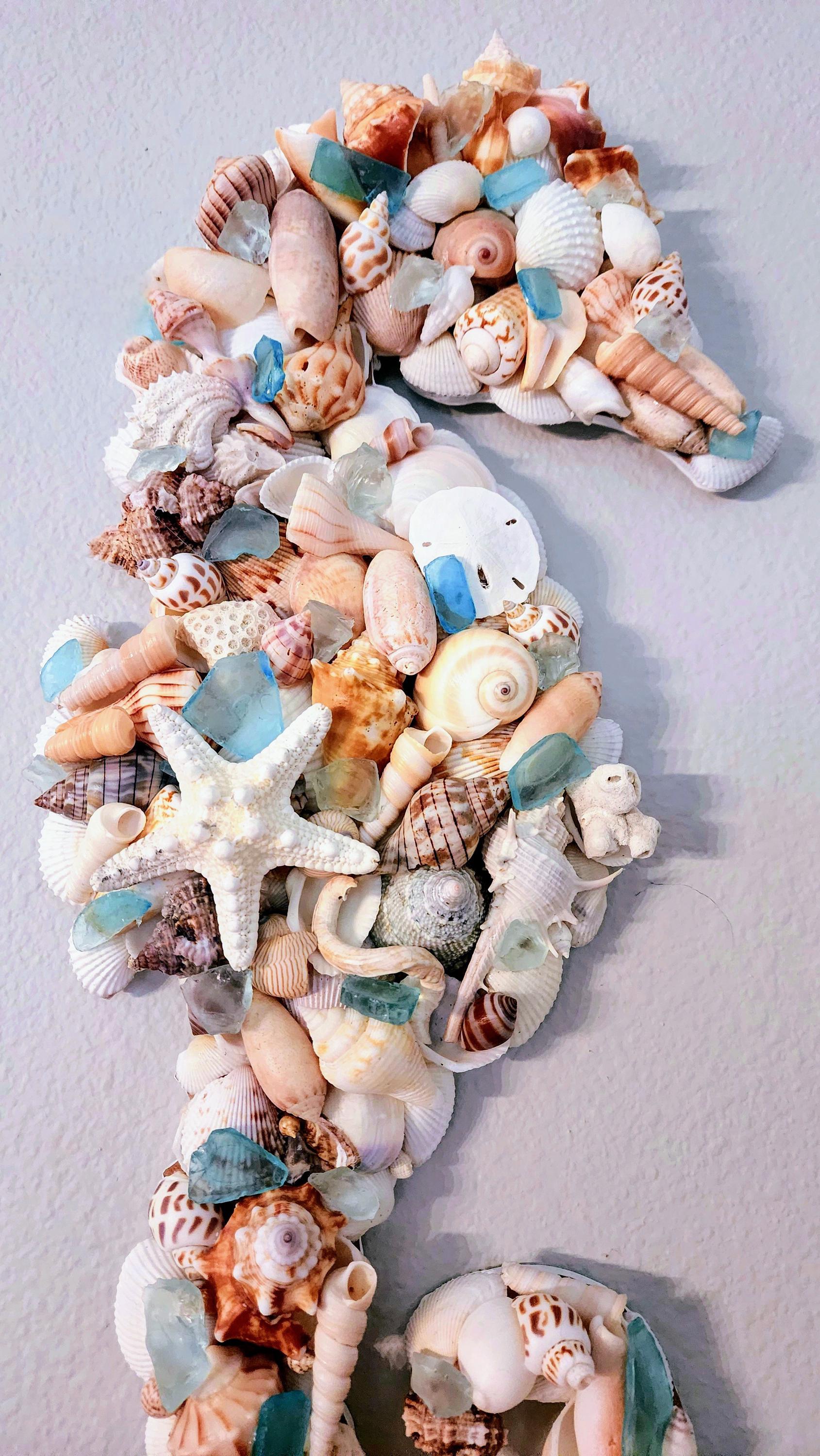 Seashell Seahorse Wall Art, Coastal Beach House Decor, 18x9 - Etsy