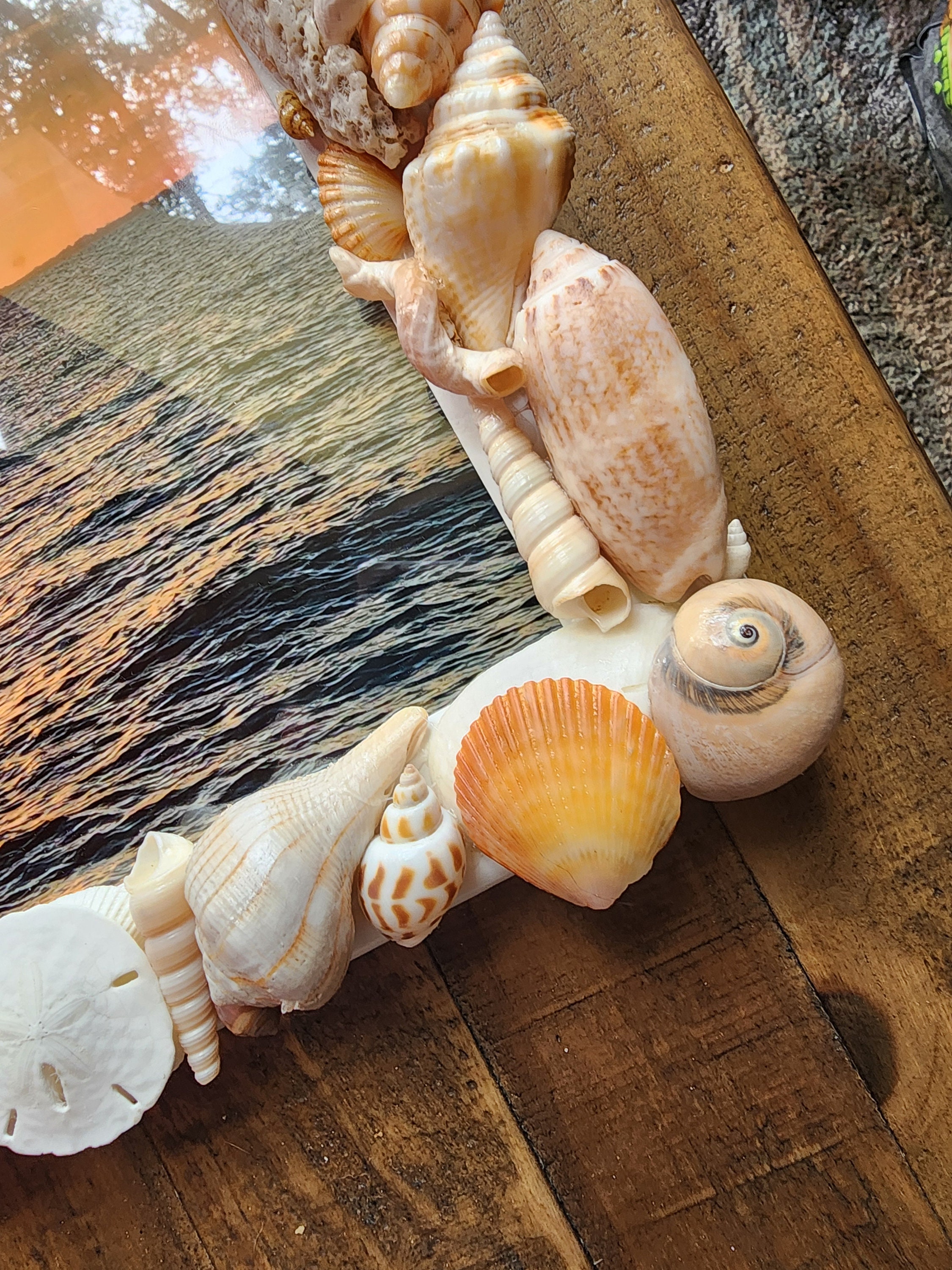 Seashell Photo Frame, 8x10 Coastal Picture Frame, Beach House Decor ...