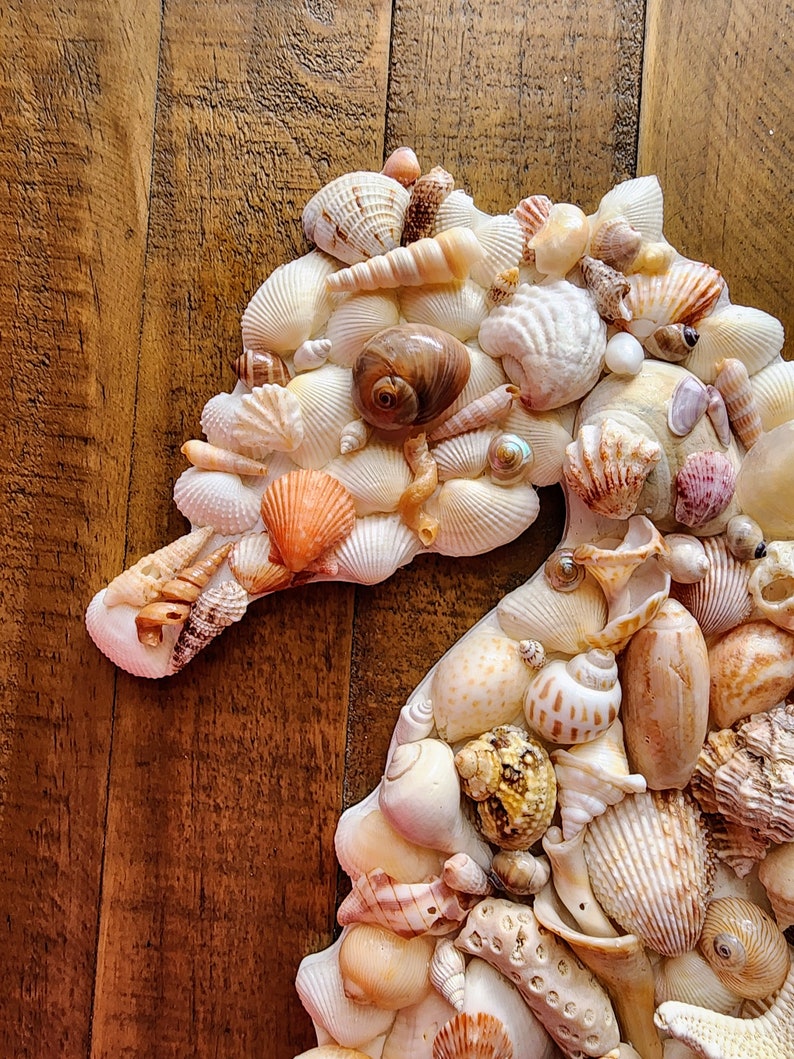 Seashell Seahorse Wall Art, 18 X 9 Coastal Wall Hanging, Seahorse Beach ...