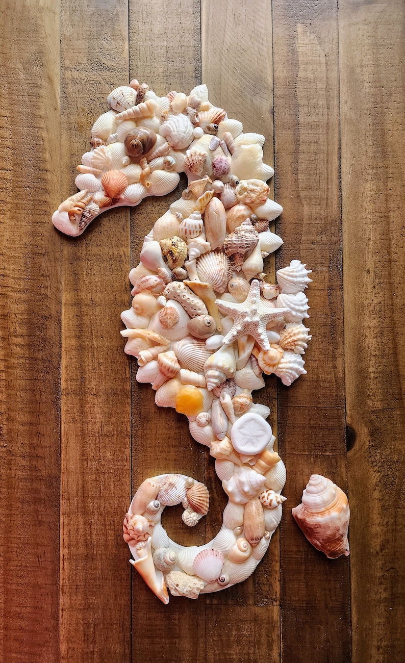 Seashell Seahorse Wall Art, 18" X 9" Coastal Wall Hanging, Seahorse ...