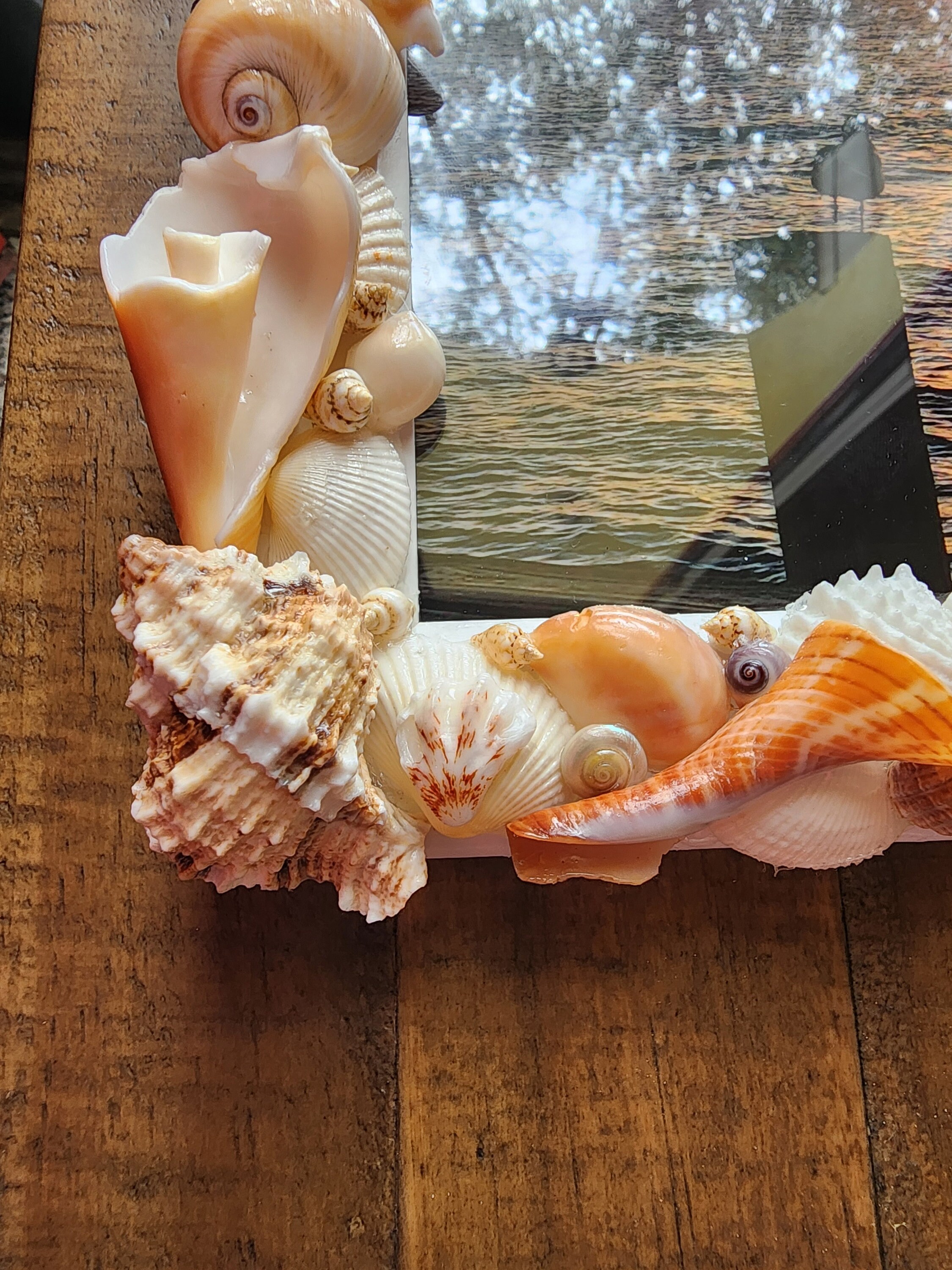 Seashell Photo Frame, 8"x10" Coastal Picture Frame, Beach House Decor ...