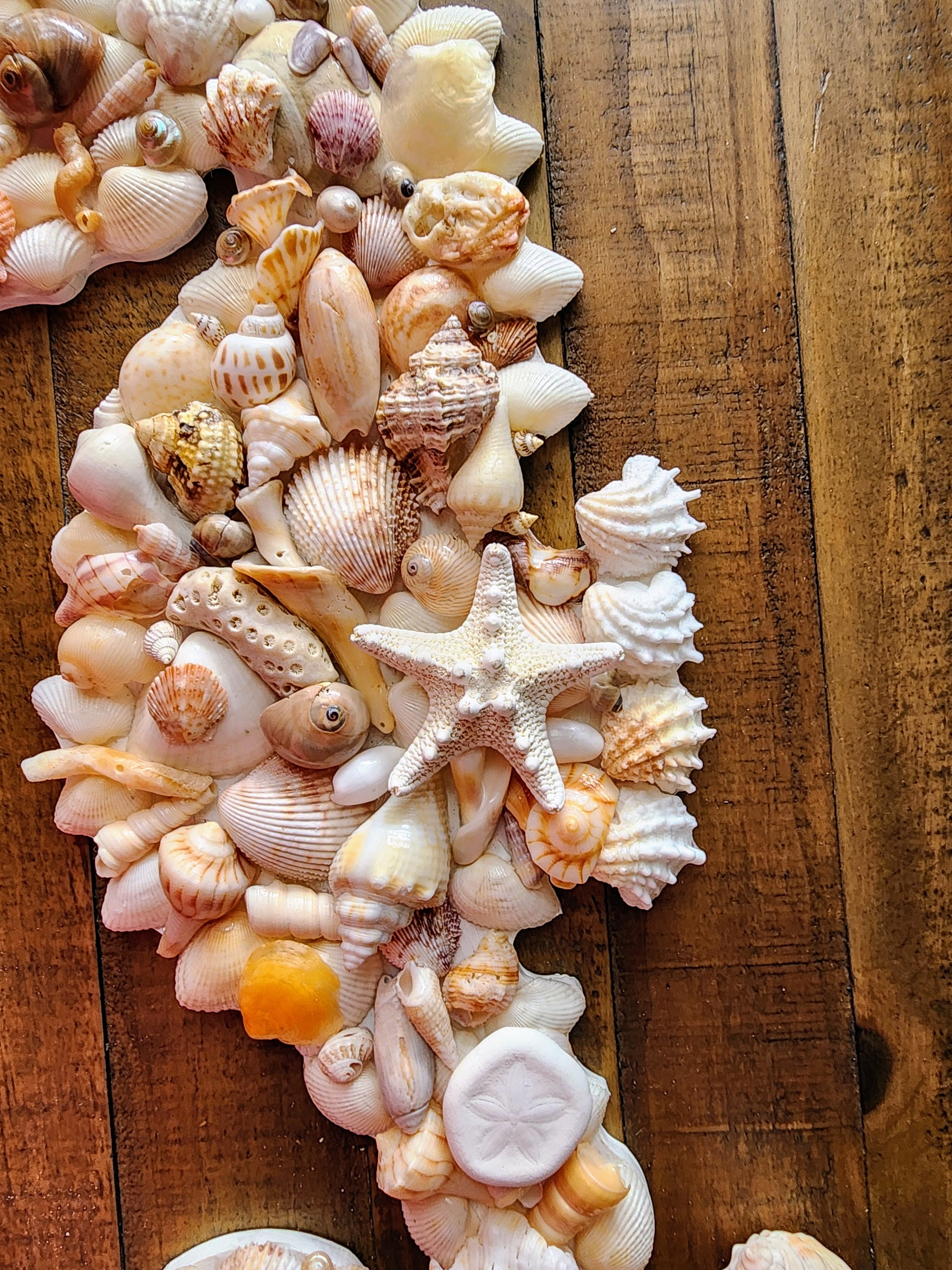 Seashell Seahorse Wall Art, Coastal Beach House Decor, 18x9 - Etsy