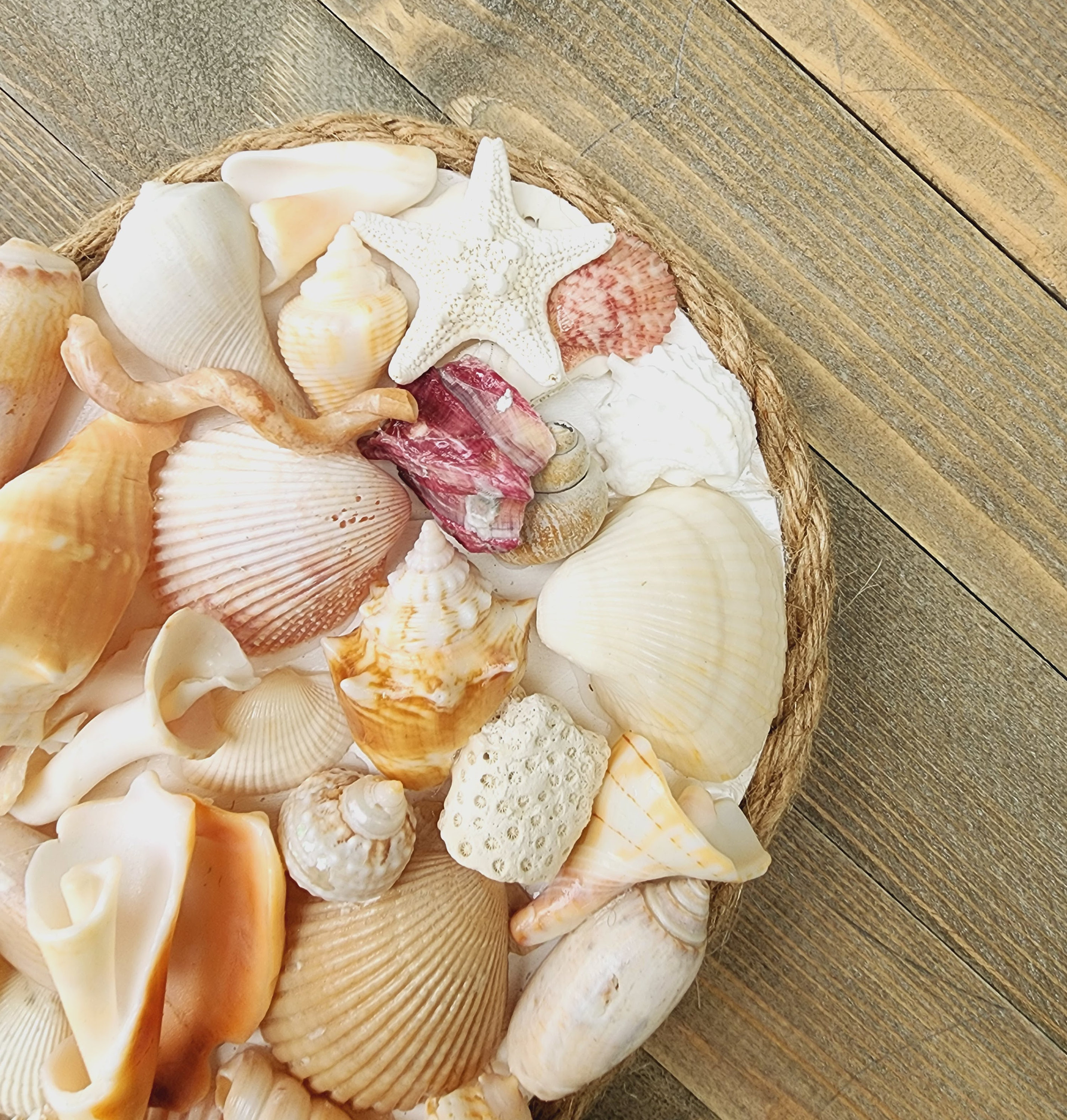 Seashell Heart, Coastal Heart, Coastal Wall Hanging, Seashell Wall ...