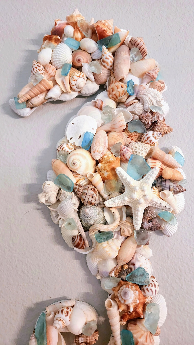 Seashell Seahorse Wall Art, Coastal Beach House Decor, 18x9 - Etsy
