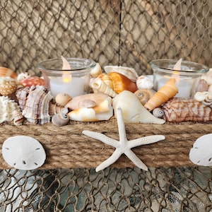 Seashell Centerpiece - Etsy