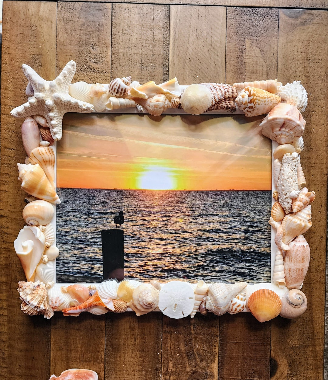 Seashell Photo Frame, 8"x10" Coastal Picture Frame, Beach House Decor ...