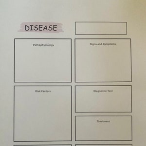 Patho Study Guide - Etsy