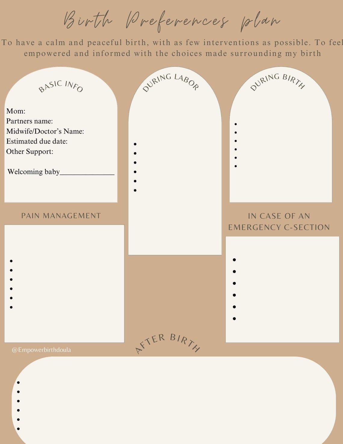 Editable Birth Plan Template/ Visual Birth Plan/ Canva Template ...