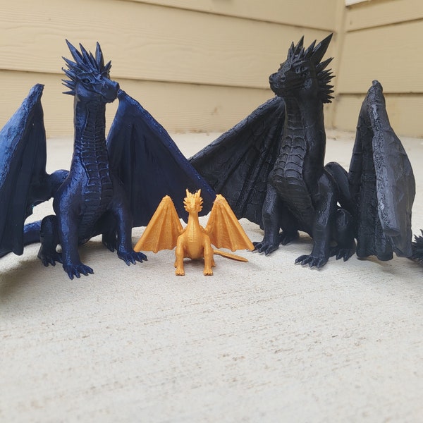 Fourth Wing 3d Printed - Etsy