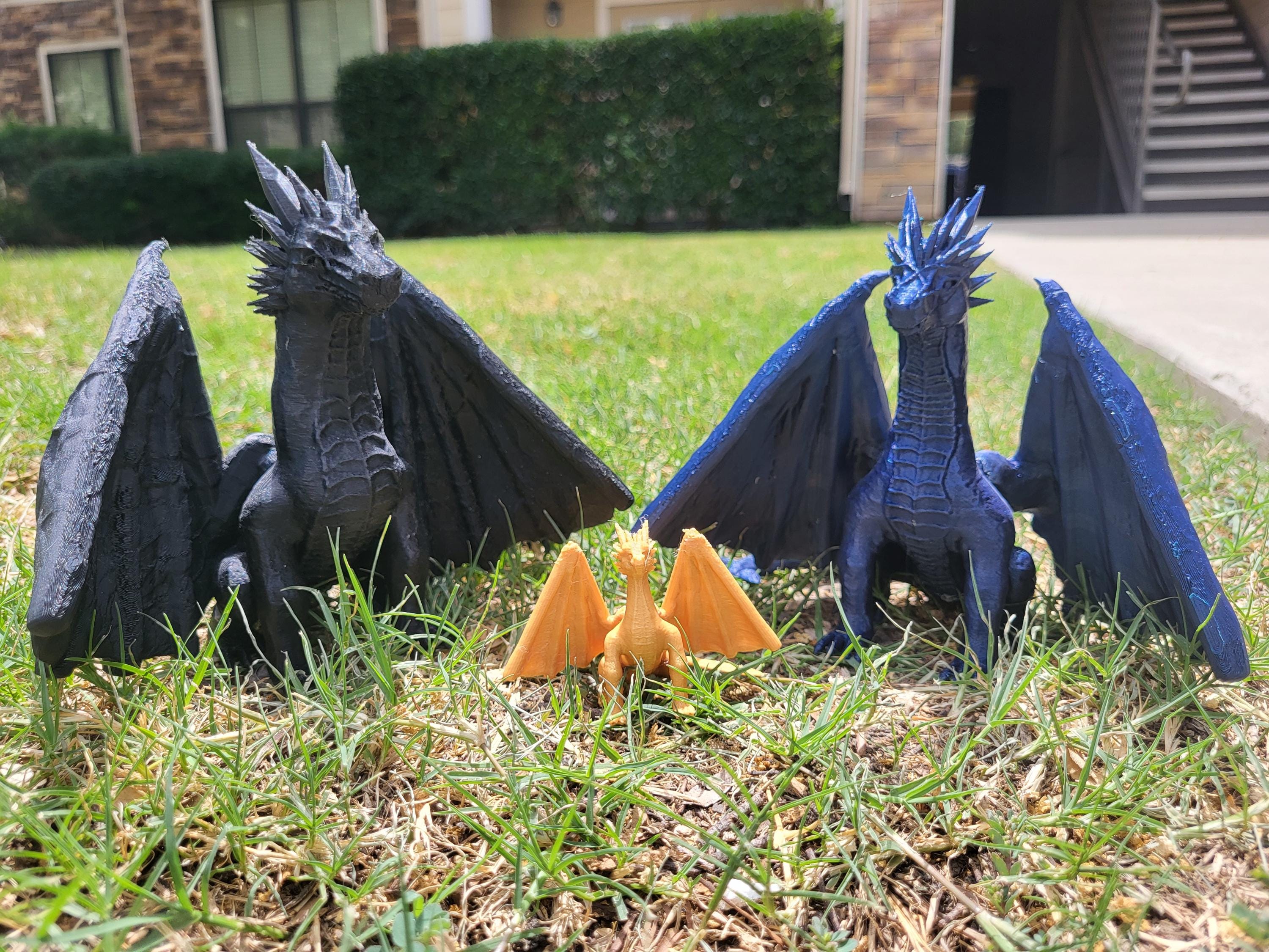 Realistic Fourth Wing Inspired 3D Printed Dragons - Etsy