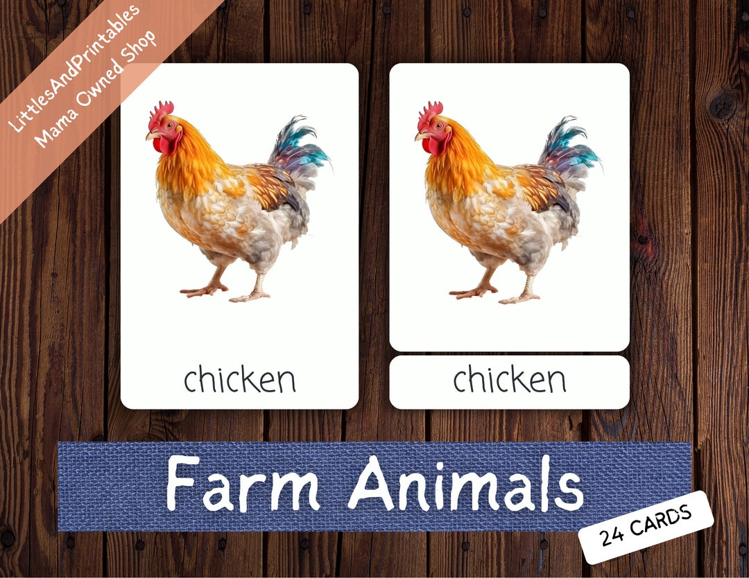 Farm Animal Flashcards • Montessori Nomenclature Flash Cards • PDF ...