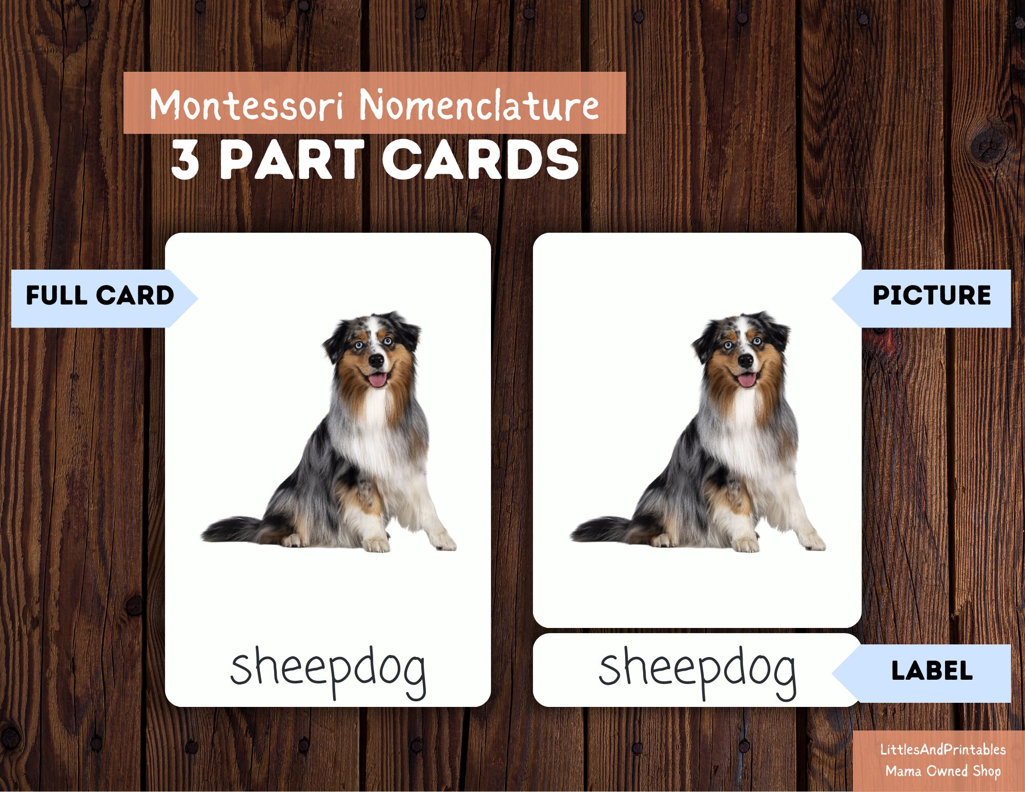 Farm Animal Flashcards • Montessori Nomenclature Flash Cards • PDF ...