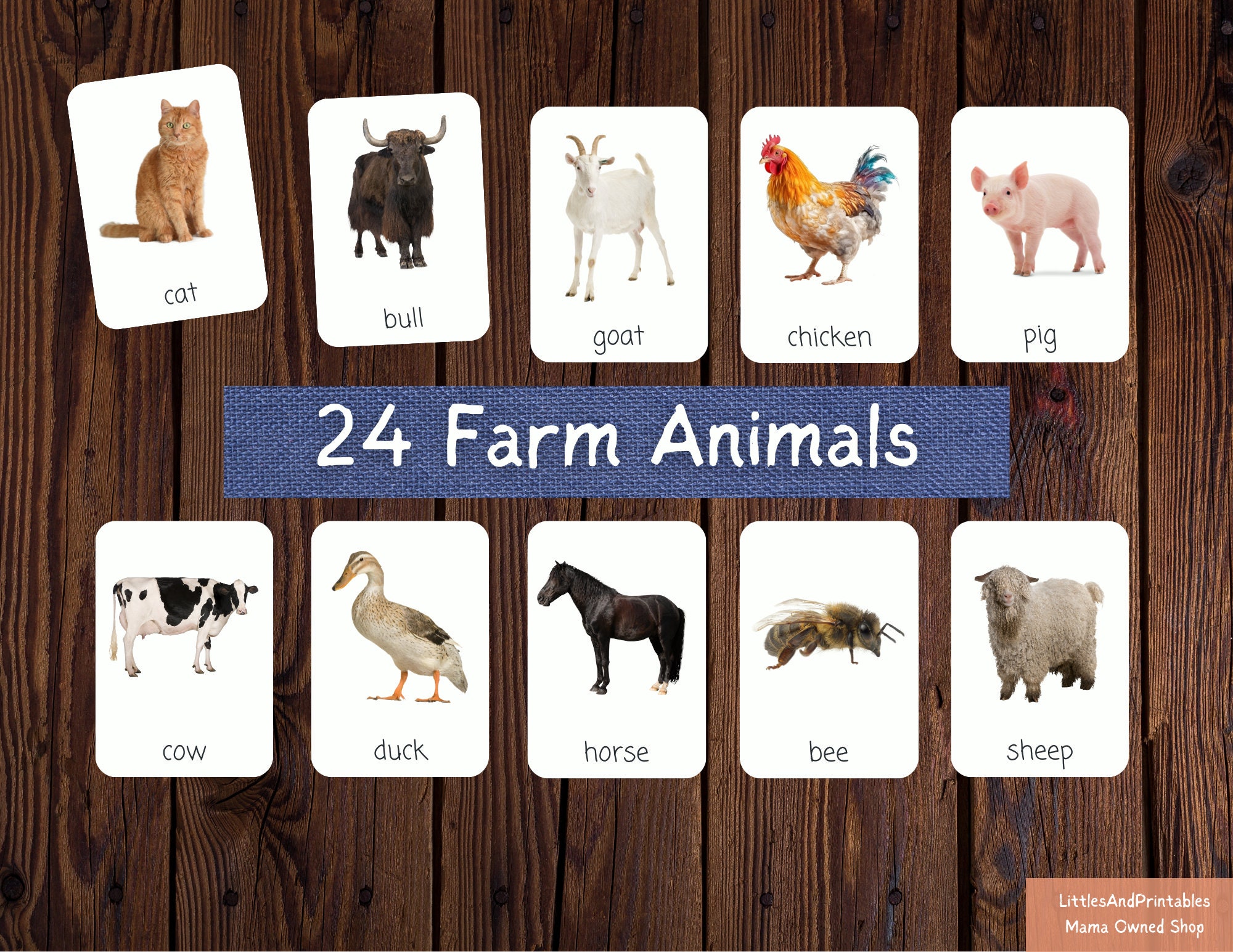 Farm Animal Flashcards • Montessori Nomenclature Flash Cards • PDF ...