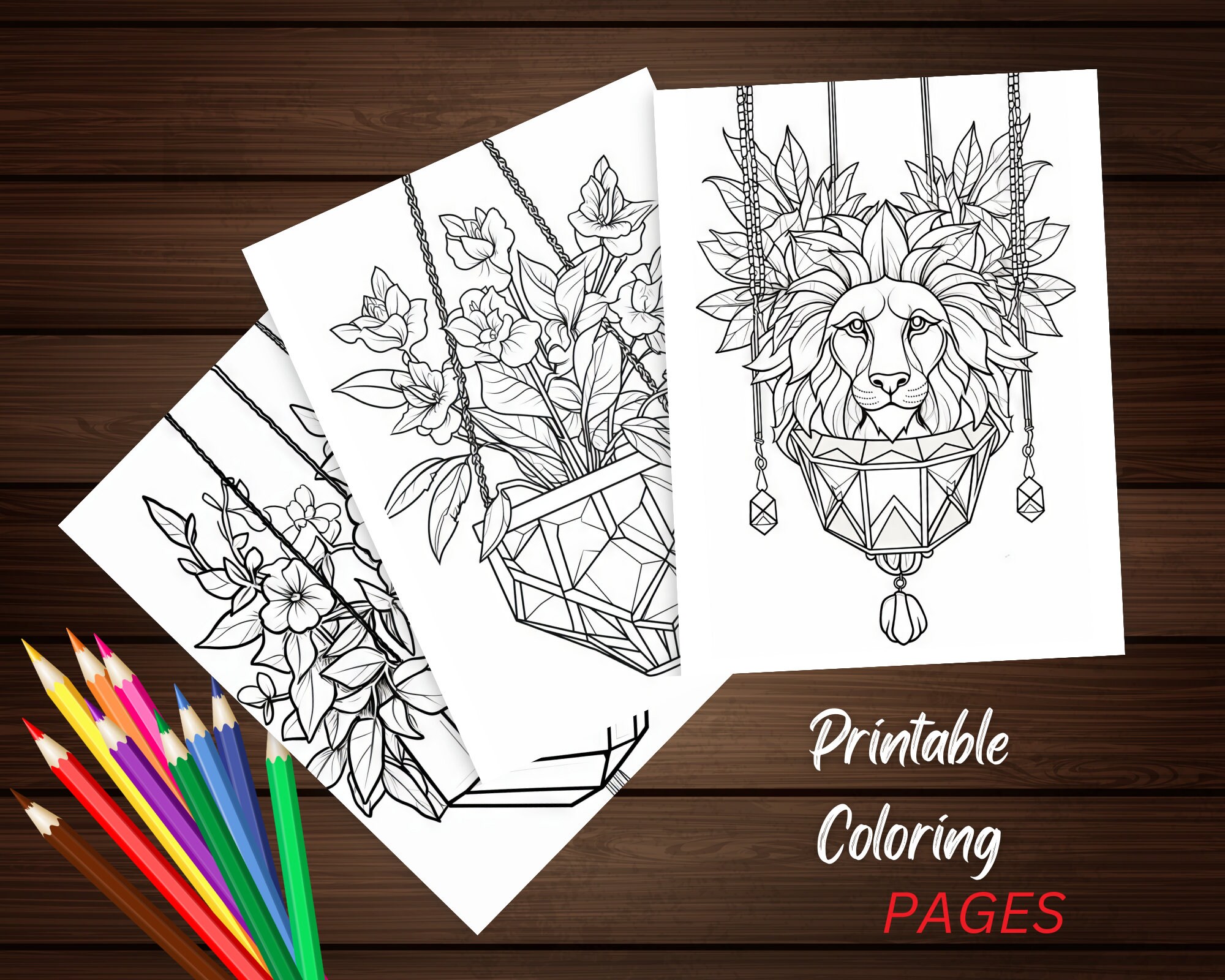 Hanging Plant Coloring Pages, Floral Plant Coloring Book Pages, Stress ...