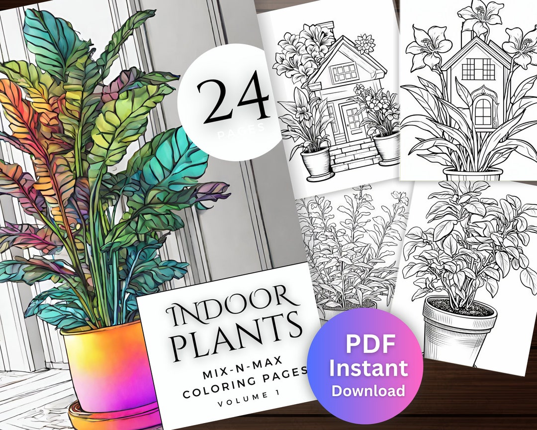 Indoor Plant Coloring Pages, House Plant Digital Coloring, Nature ...