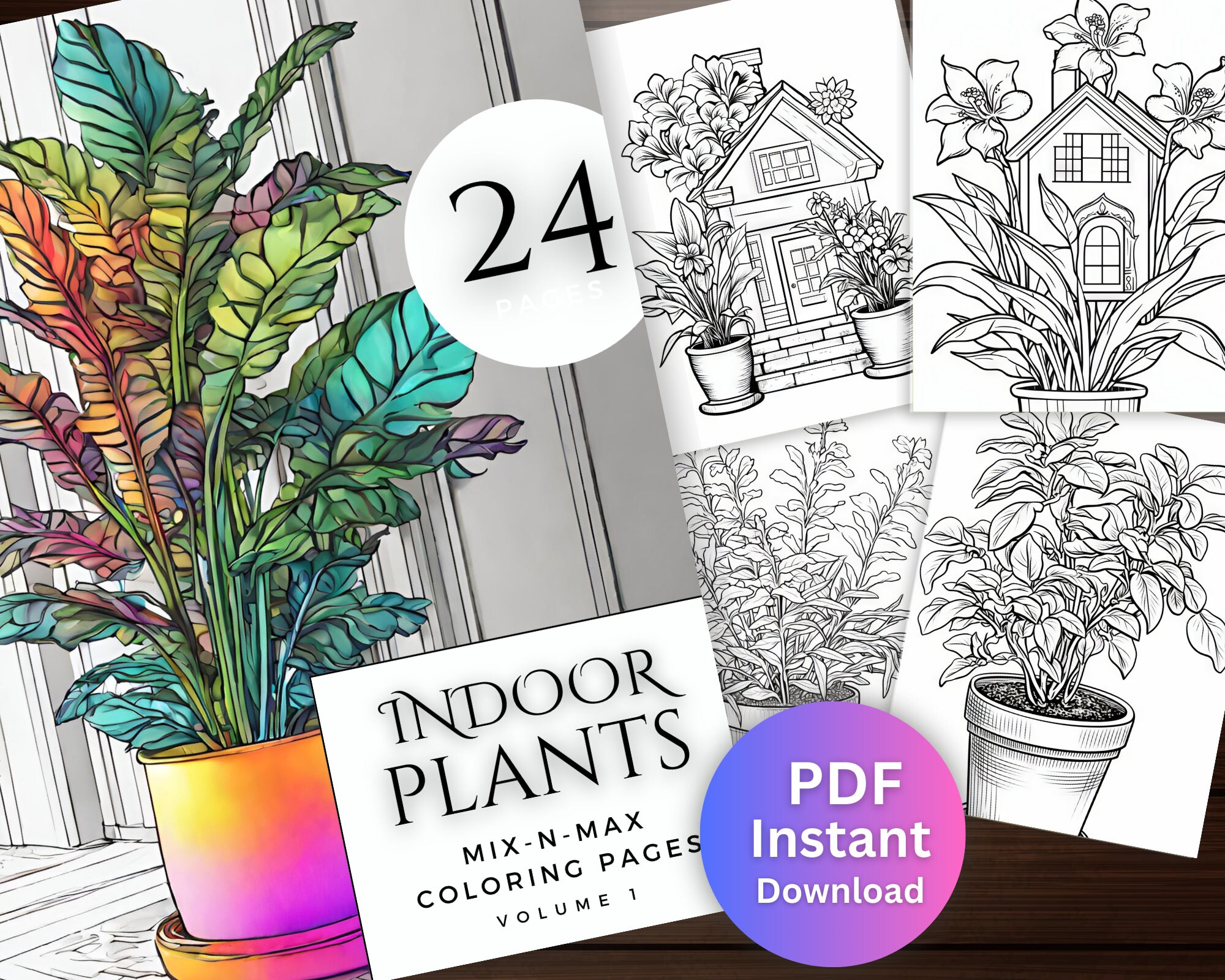 Indoor Plant Coloring Pages, House Plant Digital Coloring, Nature ...