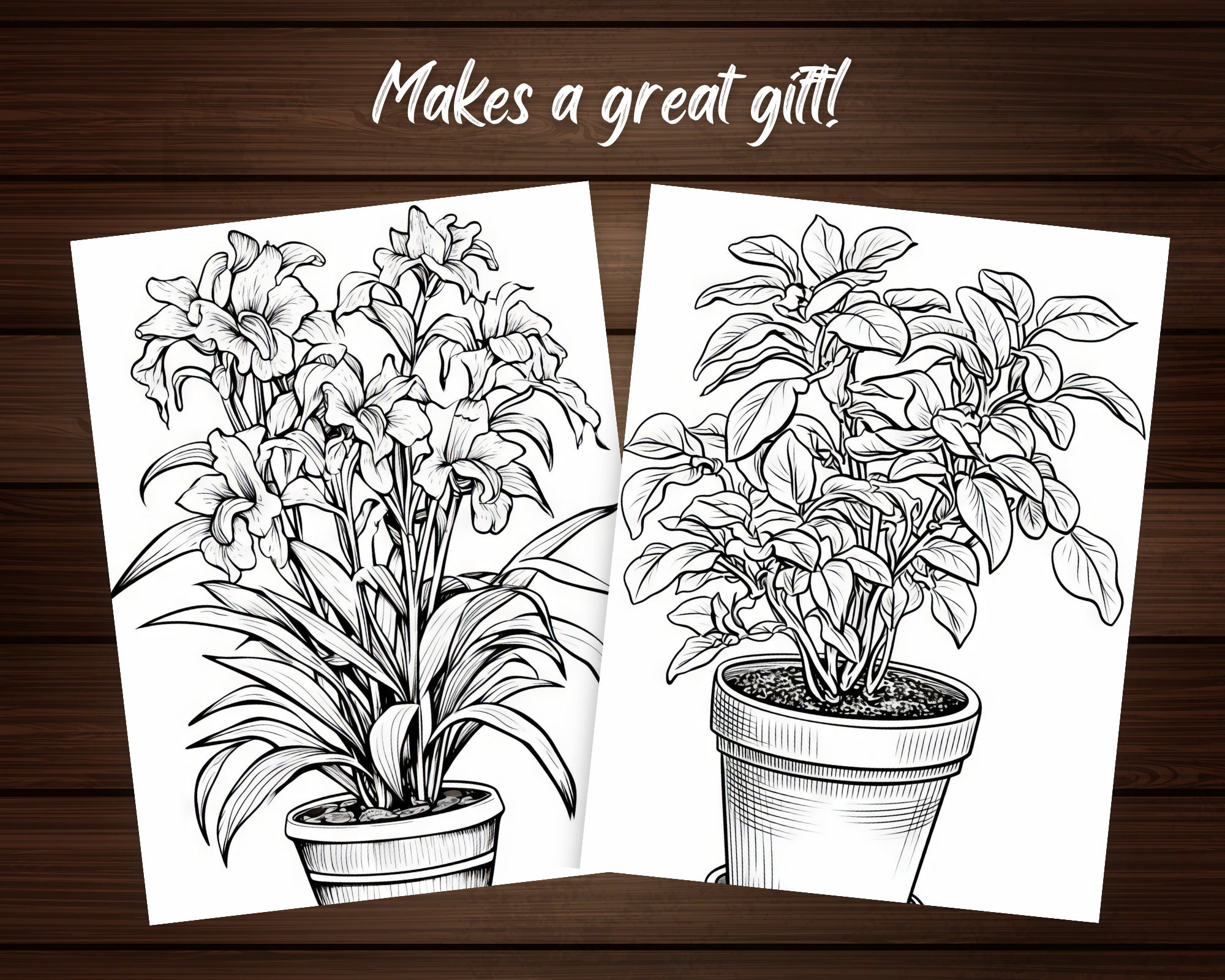Indoor Plant Coloring Pages, House Plant Digital Coloring, Nature ...