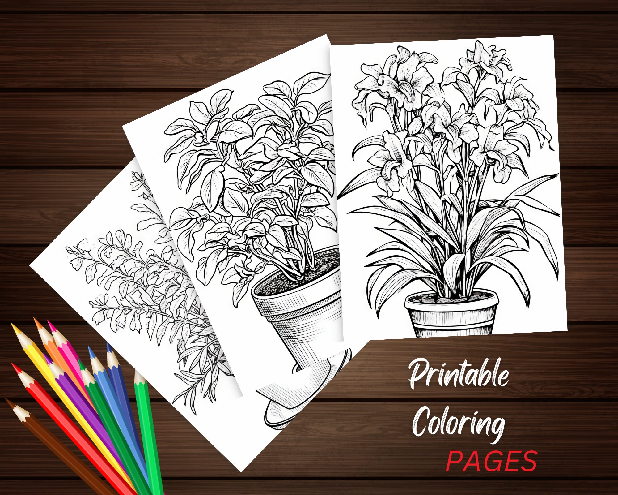 Indoor Plant Coloring Pages, House Plant Digital Coloring, Nature ...
