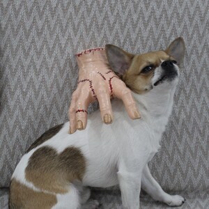 Hand Horror Movie Collectible Life Size - Etsy