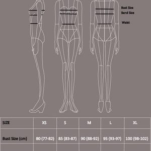 Buffoon Costume, Collar and Corset Medieval Cosplay, Baroque Jester ...