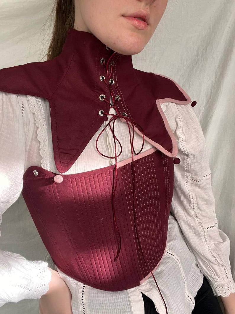 Buffoon Costume Pink-burgundy, Coloring Collar and Corset Medieval ...