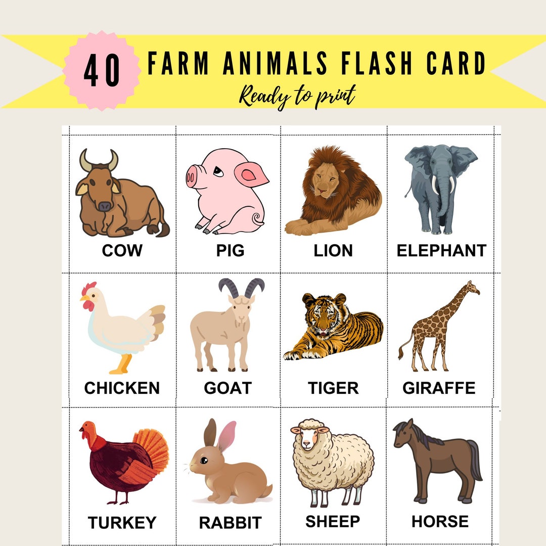 FARM ANIMALS 4O Montessori Cards Flash Cards Nomenclature Flashcard PDF ...