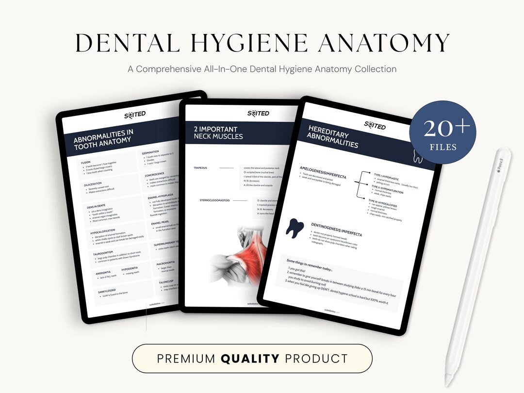 Dental Anatomy Study Guide Bundle - Digital - Etsy