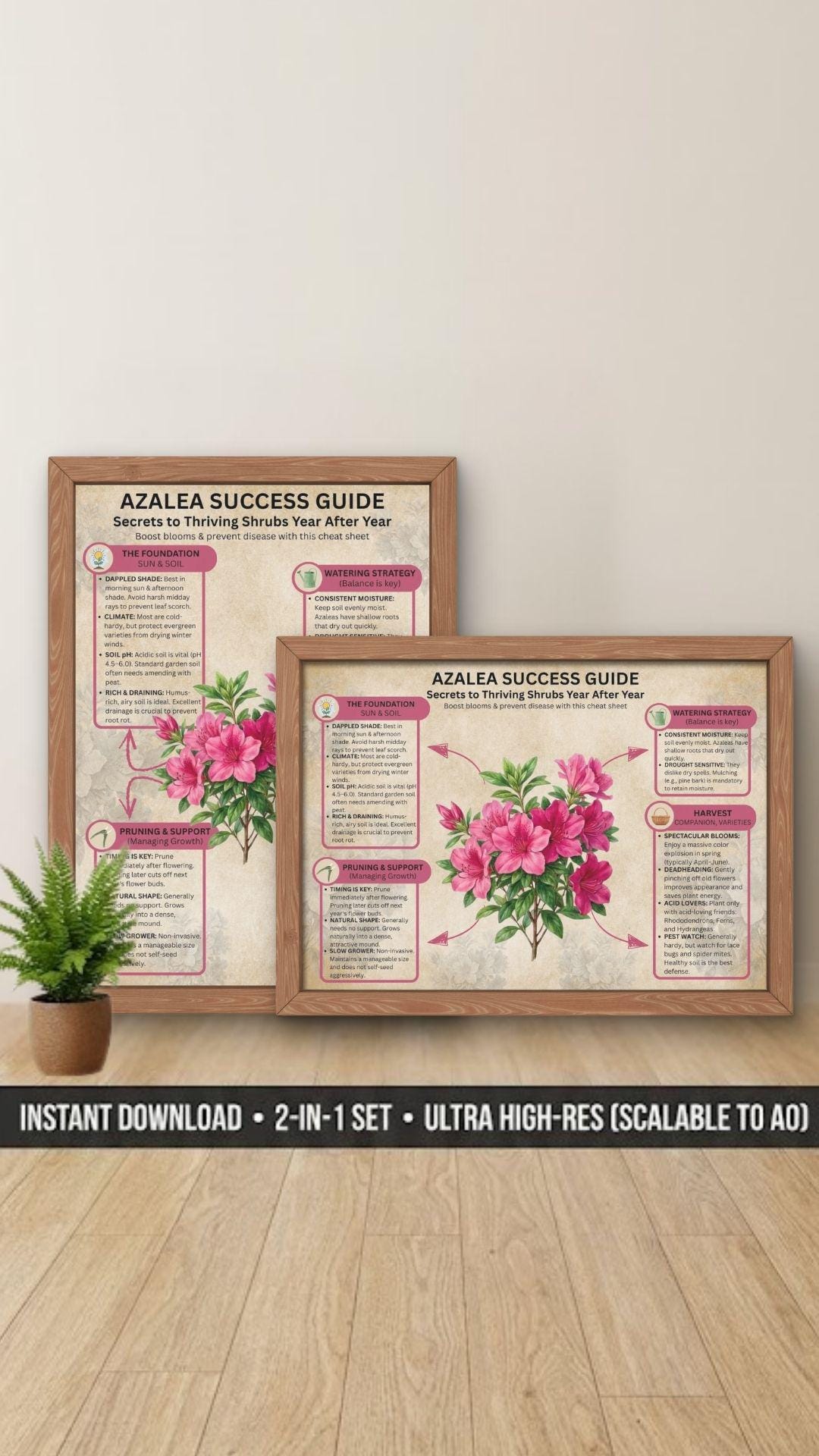 Azalea Care Guide Printable | Acid Soil Garden Cheat Sheet - Etsy