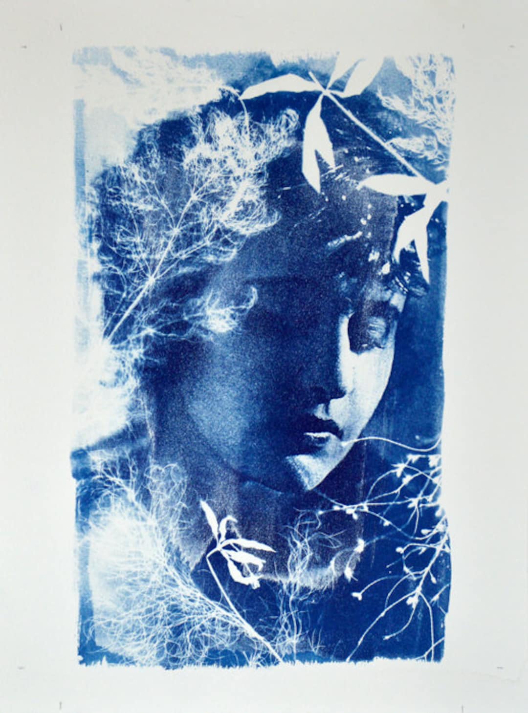 Original Cyanotype Print Shadow - Etsy