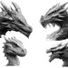 Dragon Head Procreate Stamps, Fantasy Procreate Brushes, Dragon ...