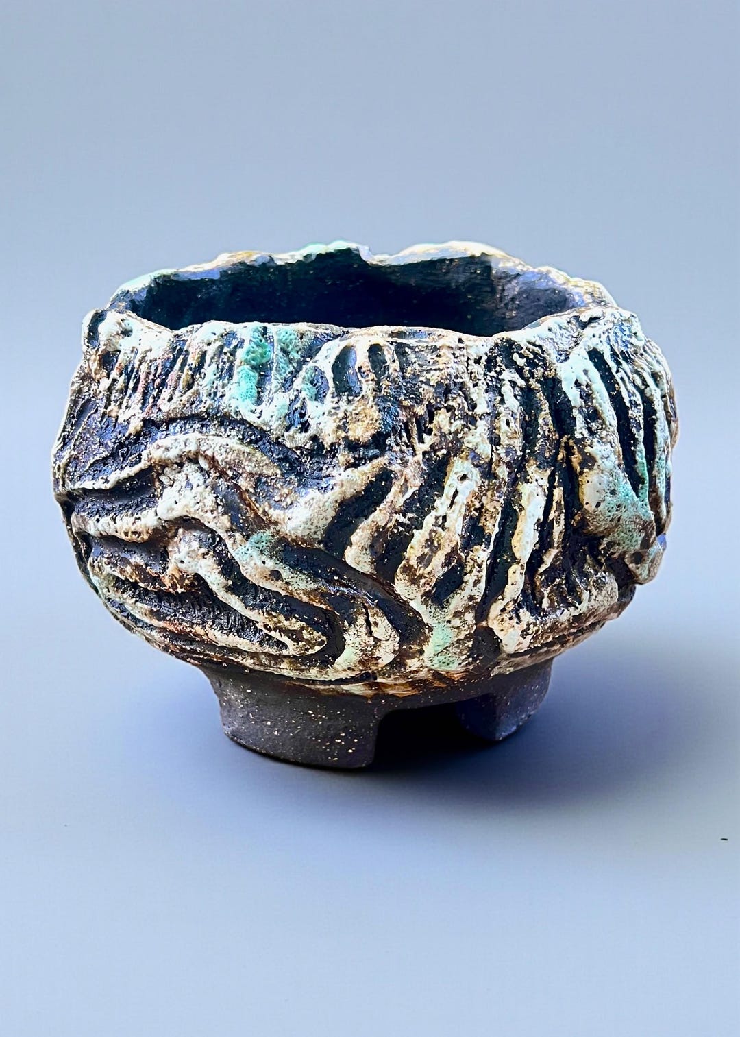 Black Stoneware Caudex Pot COLIMA for Bonsai, Succulent, Cactus, Orchid ...