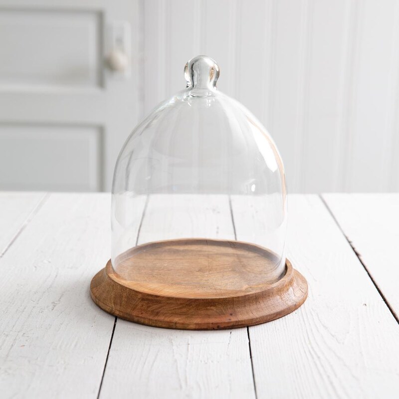 Glass Cloches for Display - Etsy