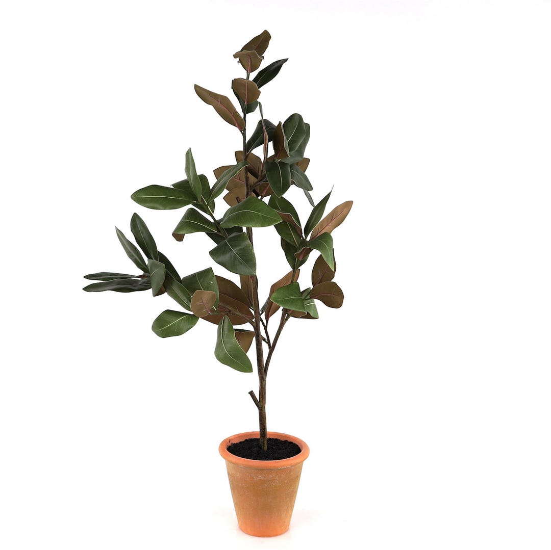 Potted Magnolia Tree Topiary 22"h - Etsy