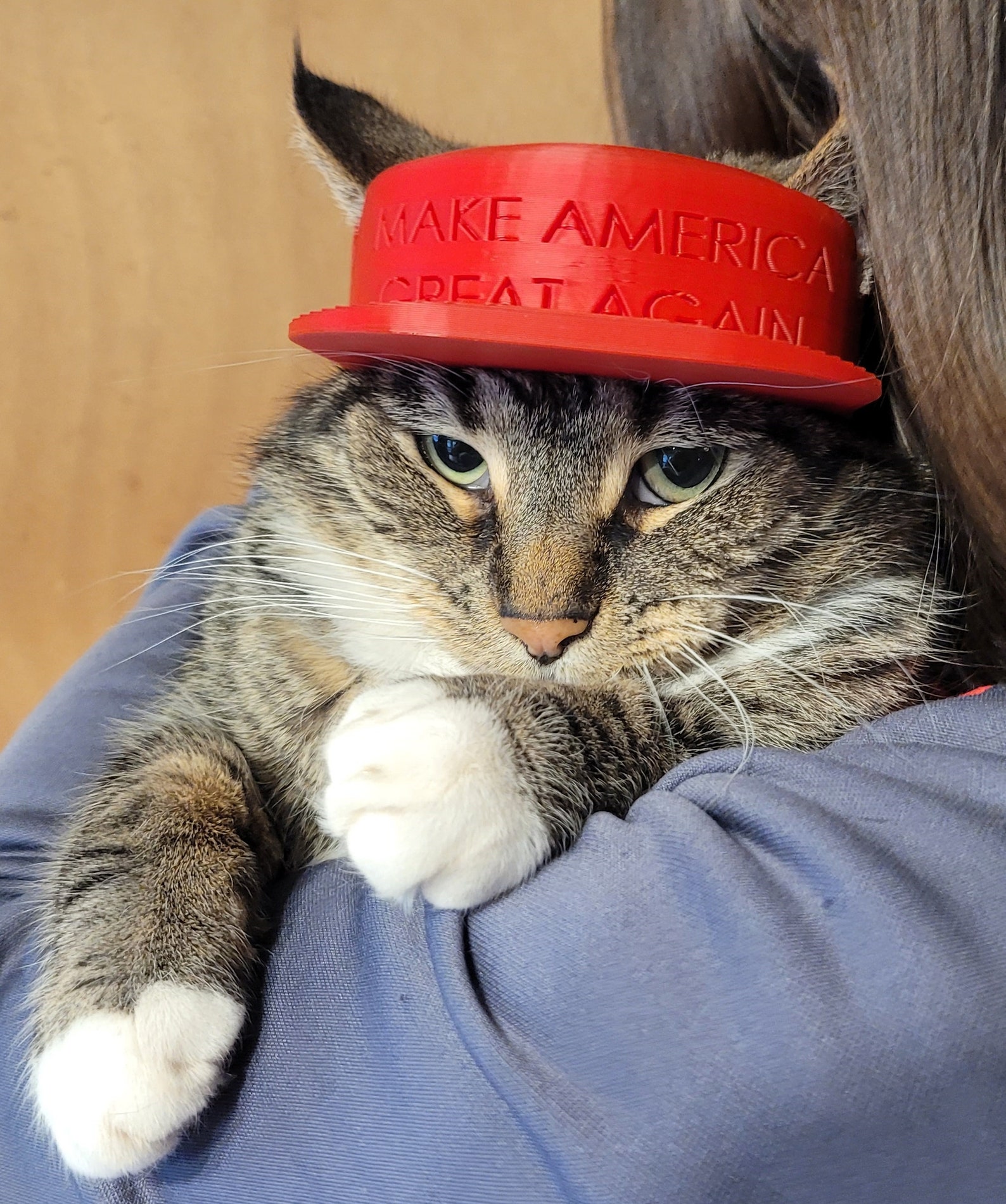 Maga Cat Hat a Maga Hat for Your Cat - Etsy