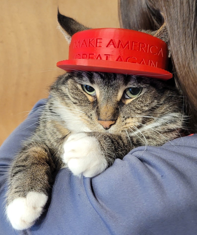 Maga Cat Hat a Maga Hat for Your Cat - Etsy
