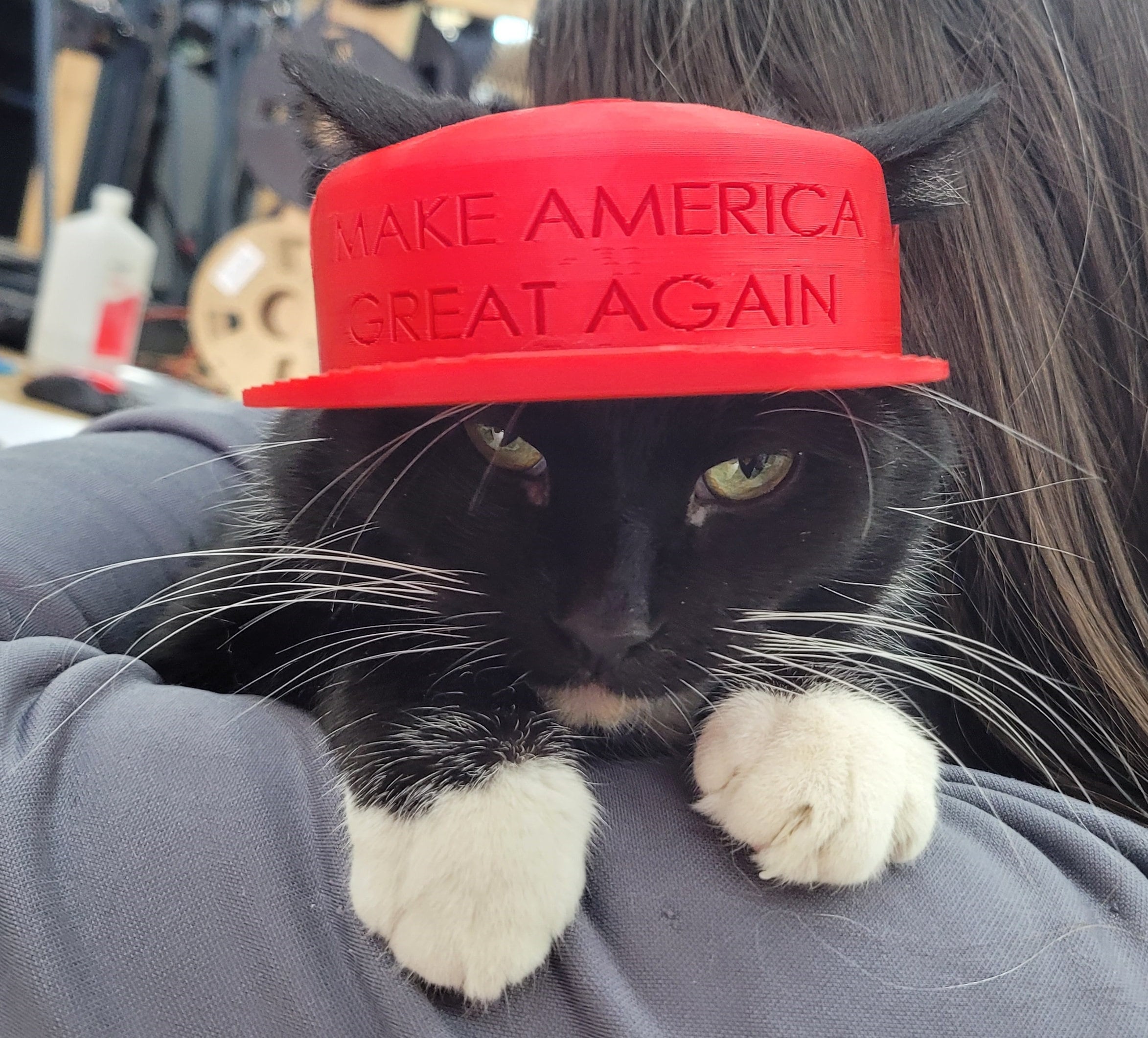 Maga Cat Hat a Maga Hat for Your Cat - Etsy