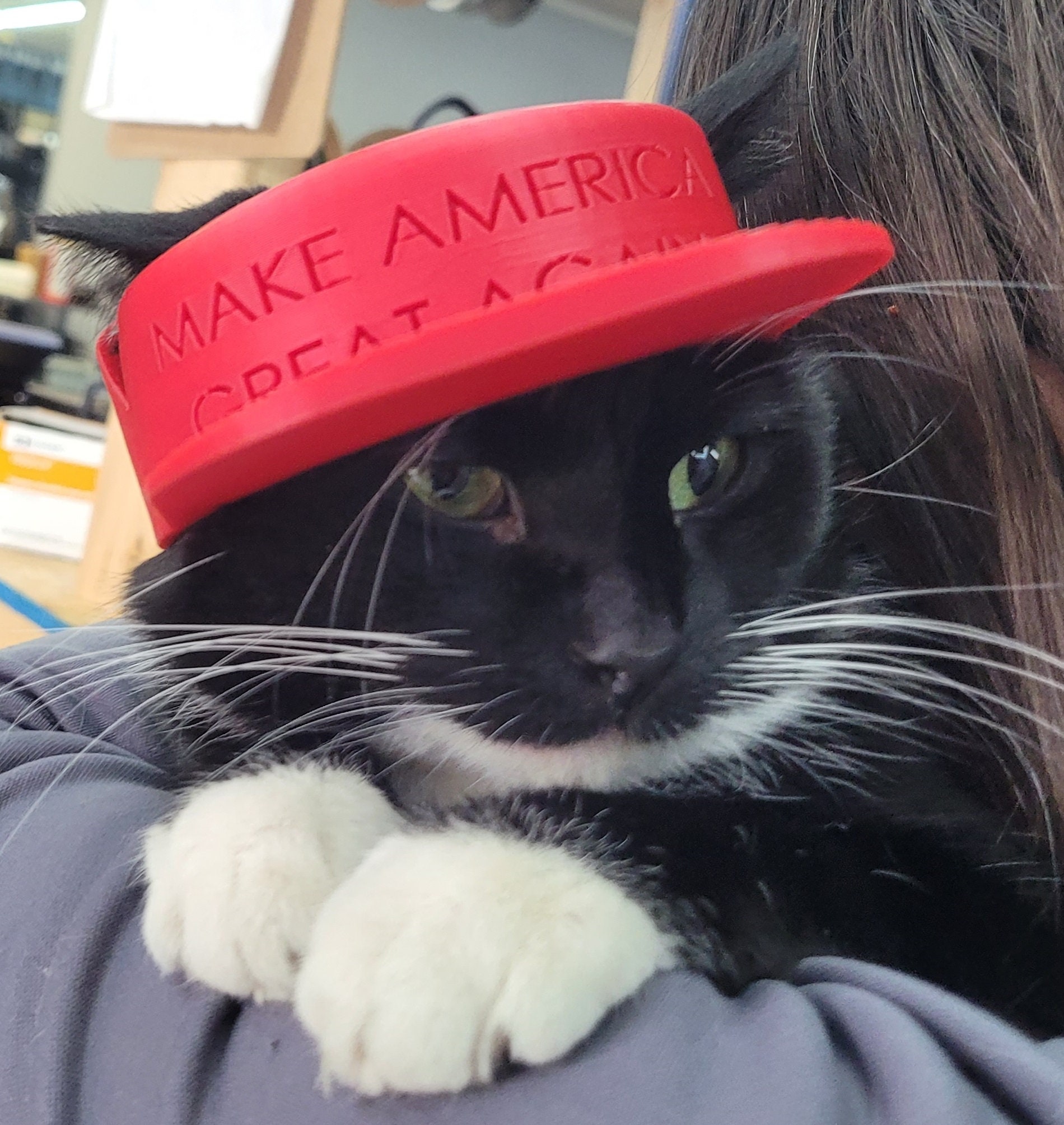 Maga Cat Hat a Maga Hat for Your Cat - Etsy