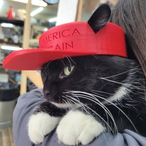 Maga Cat Hat a Maga Hat for Your Cat - Etsy