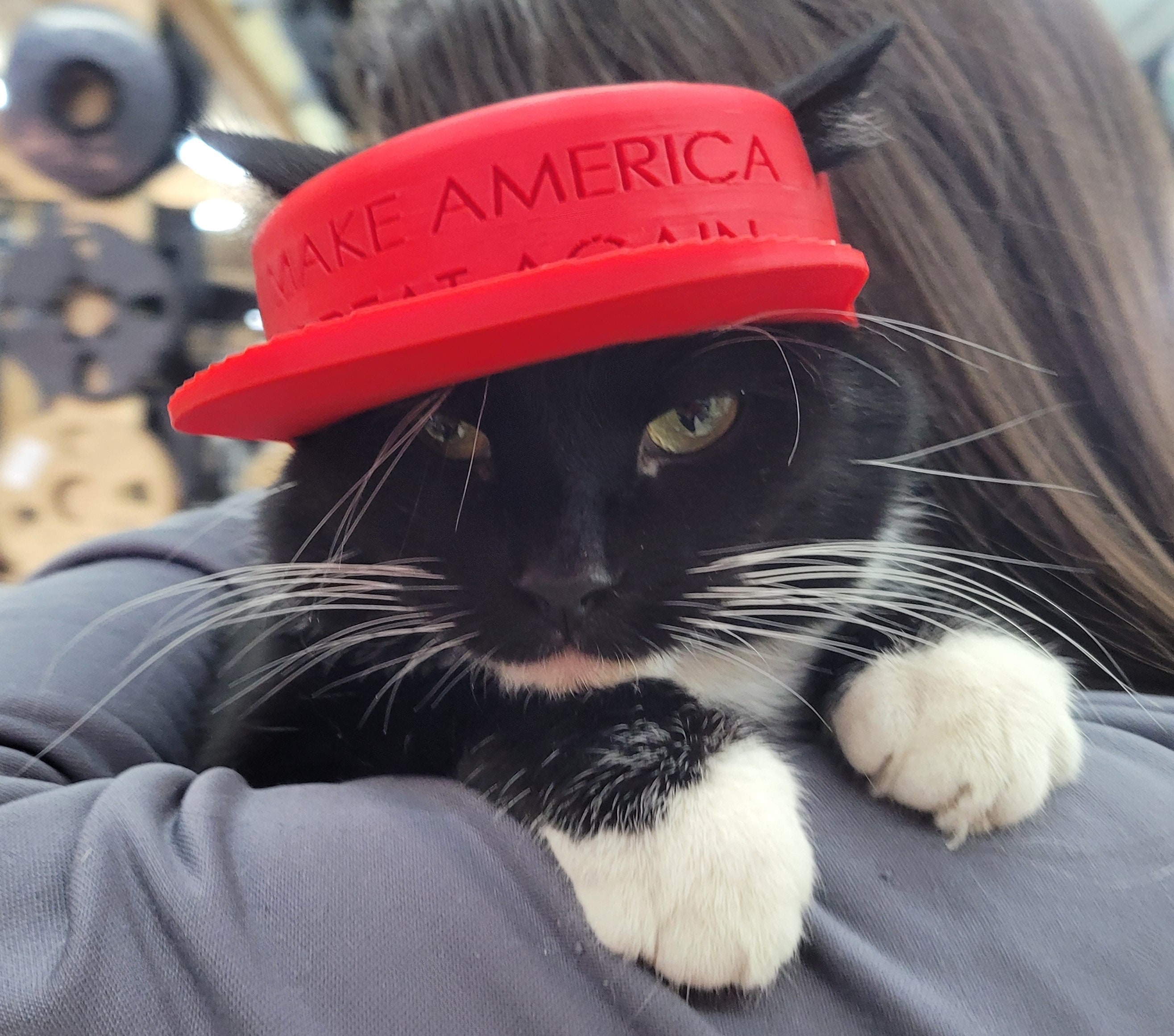 Maga Cat Hat a Maga Hat for Your Cat - Etsy