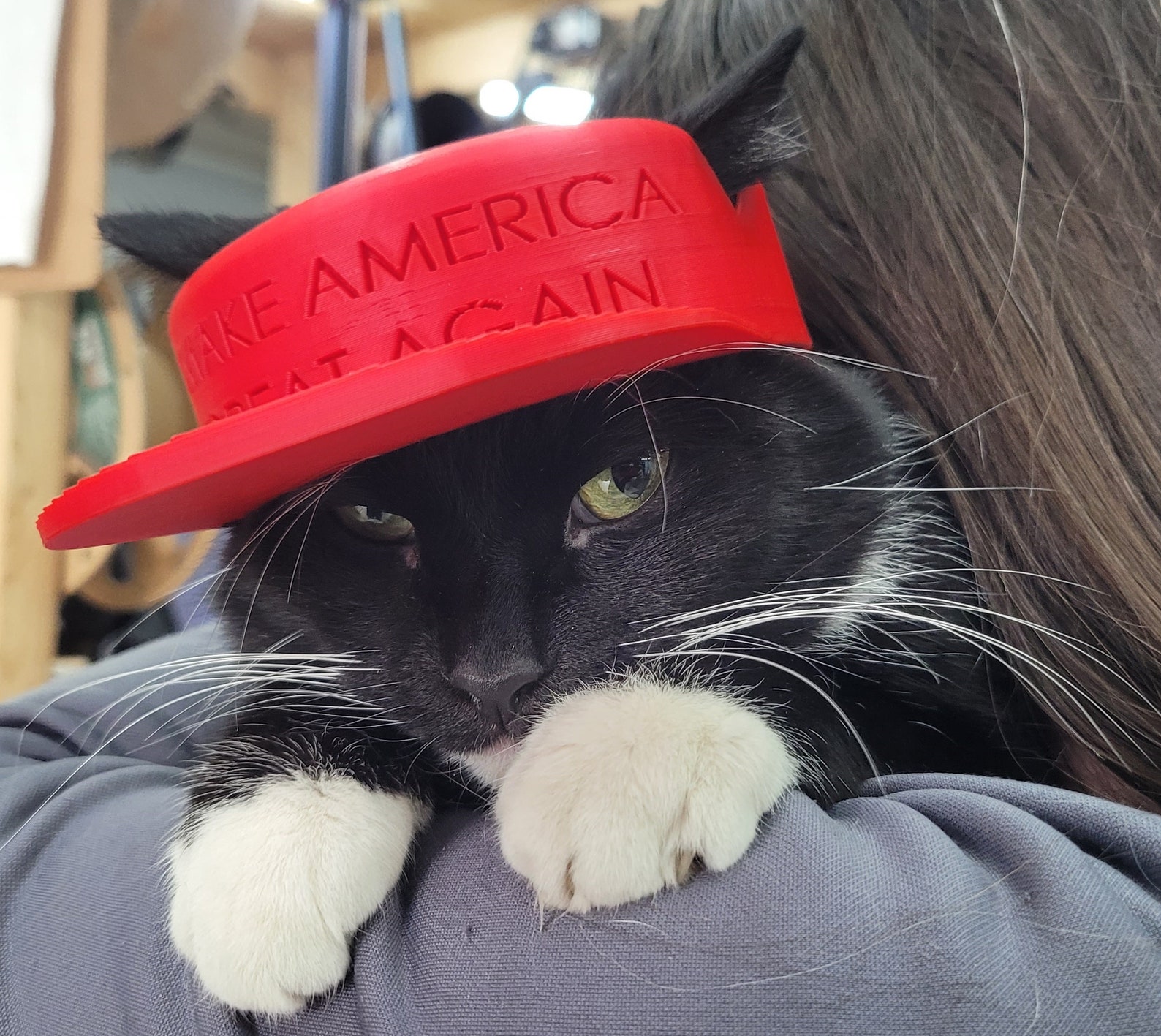 Maga Cat Hat a Maga Hat for Your Cat - Etsy