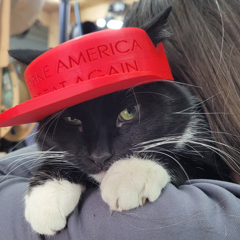 Blackout Maga Hat - Etsy