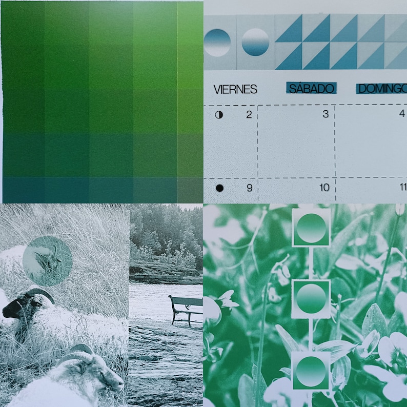 Wall Calendar 2026 (english / Spanish) - Etsy